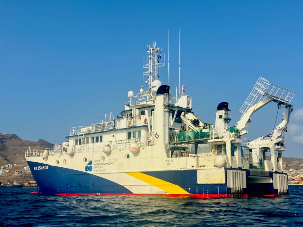 MAF WORLD • COST ACTION CA20102 – Marine Animal Forest of the World