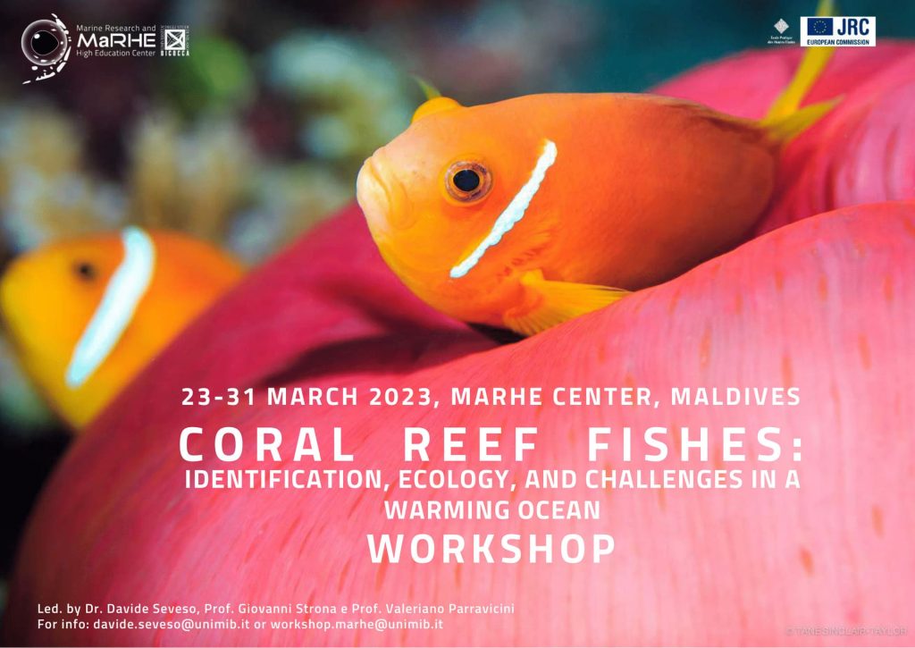 MAF WORLD • COST ACTION CA20102 – Marine Animal Forest of the World